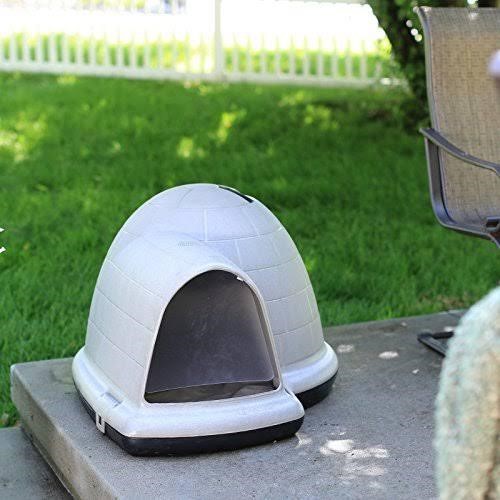 Best Ways to Insulate an Igloo Dog House - Patmydoggie